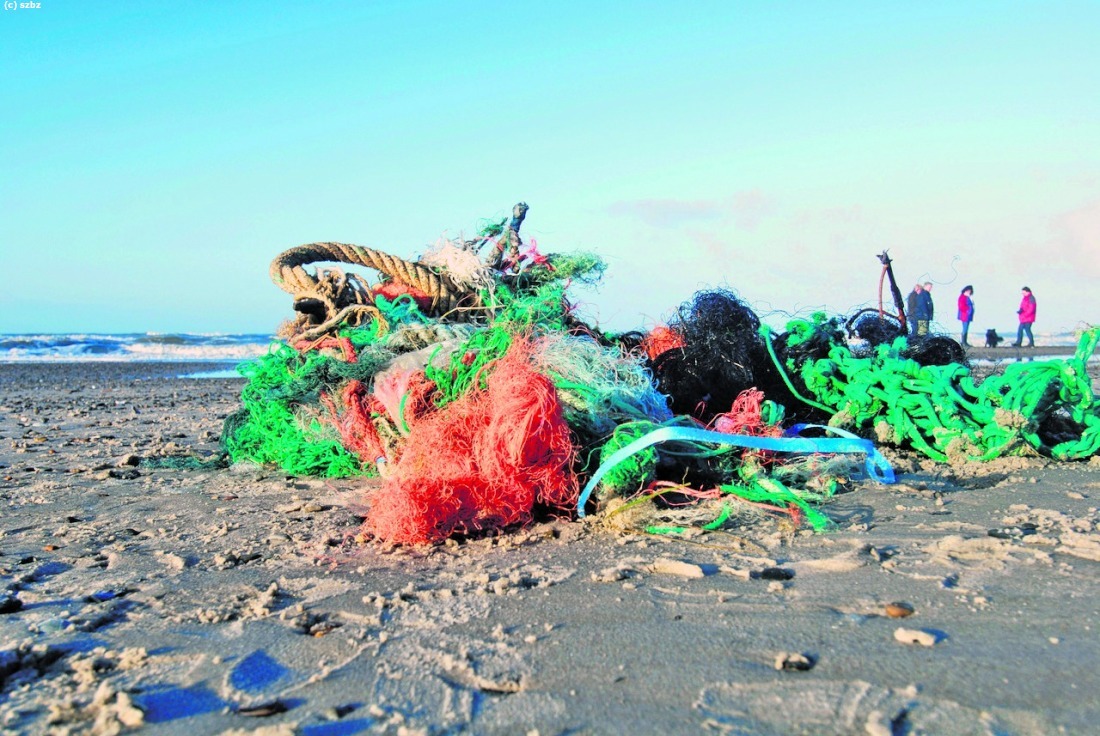 Redaktionsgast des Monats: Dr. Mark Lenz, Biologe und Meeresökologe vom ...