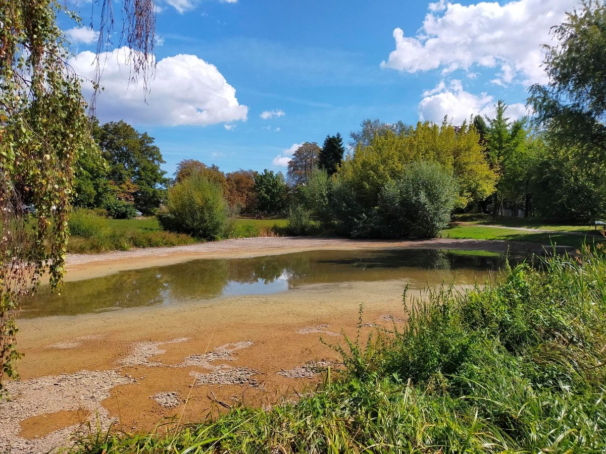 Zu wenig Wasser aus dem Sommerhofenbach - Sindelfingen: Der See im ...